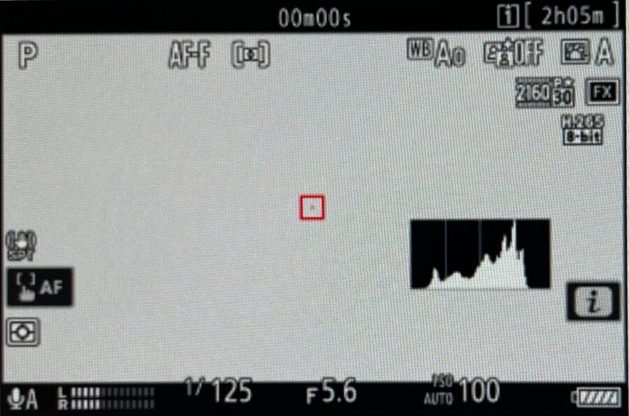 Complete Nikon Z9 Wildlife Photography Setup Guide: Best AF, Custom ...