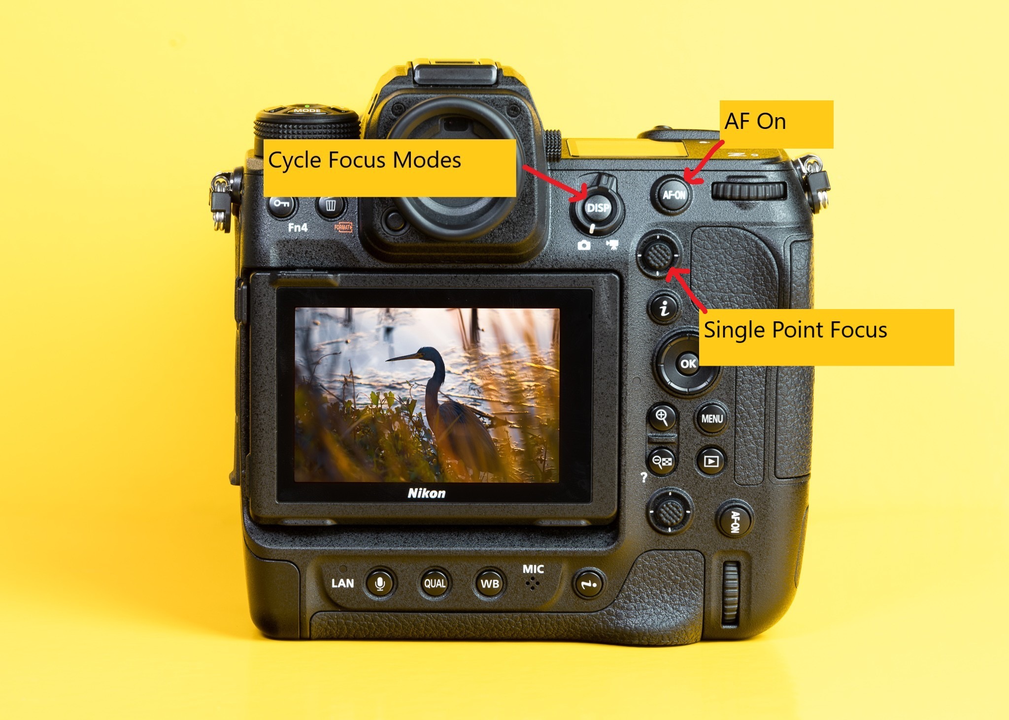 Complete Nikon Z9 Wildlife Photography Setup Guide: Best AF, Custom ...