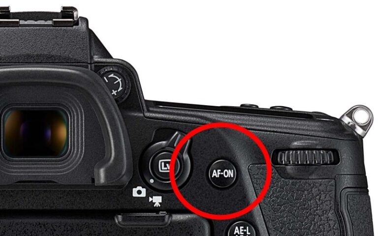 Complete Nikon Z9 Wildlife Photography Setup Guide: Best AF, Custom ...